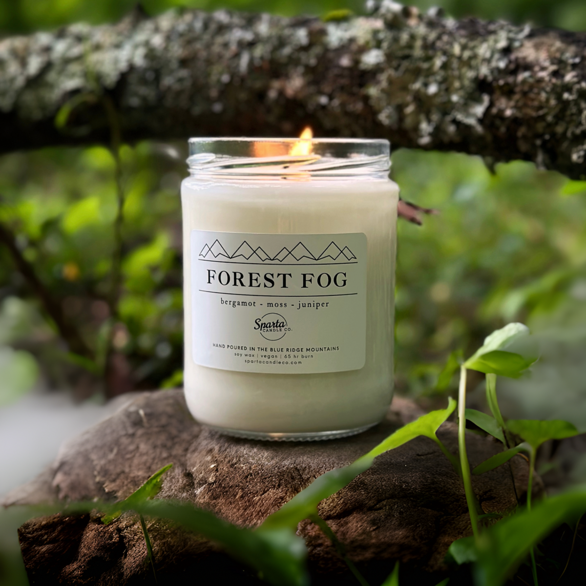 FOREST FOG CANDLE – Sparta Candle Co.